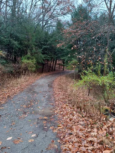 Best Hikes and Trails in Conemaugh Lake Recreation Area | AllTrails