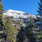 Cuddy Mountain, Idaho - 27 Reviews, Map | AllTrails