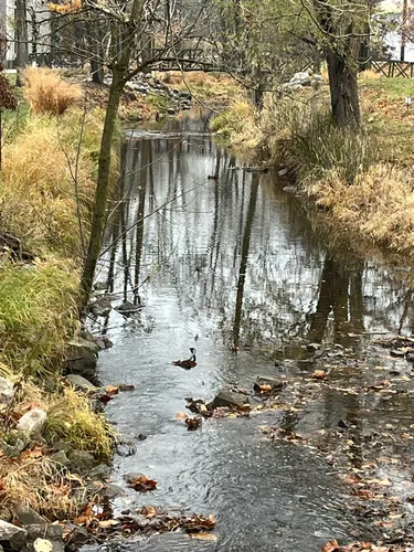 Best Hikes and Trails in Craig Park | AllTrails