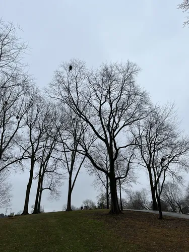 Best Hikes and Trails in Craig Park | AllTrails