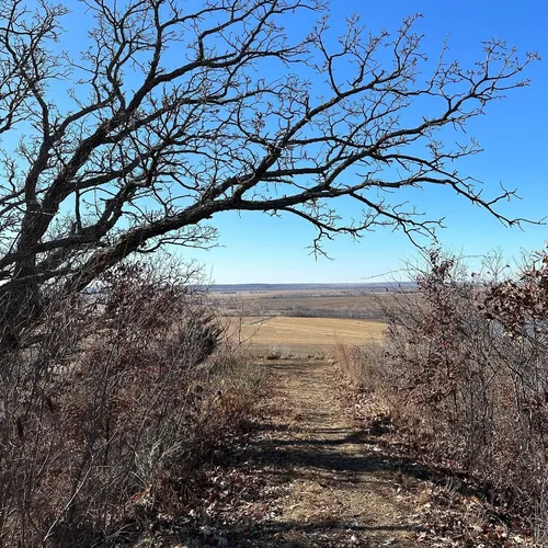 Best Hikes and Trails in West Oak Forest | AllTrails