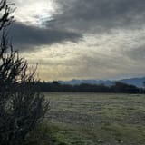 Dungeness Recreation Trail, Washington - 78 Reviews, Map | AllTrails