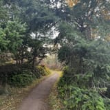 Dungeness Recreation Trail, Washington - 78 Reviews, Map | AllTrails