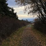 Dungeness Recreation Trail, Washington - 78 Reviews, Map | AllTrails