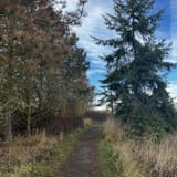 Dungeness Recreation Trail, Washington - 78 Reviews, Map | AllTrails
