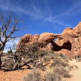 Double Arch Trail, Utah - 4,186 Reviews, Map | AllTrails