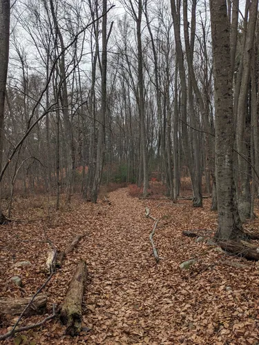 Best Hikes and Trails in Beals Preserve | AllTrails