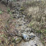 Chittenango Falls, New York - 748 Reviews, Map | AllTrails