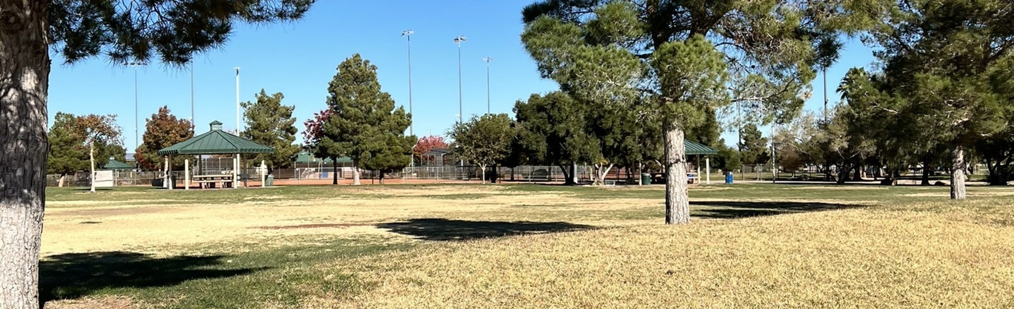 Silverado Ranch Park Walk, Nevada - 191 Reviews, Map | AllTrails