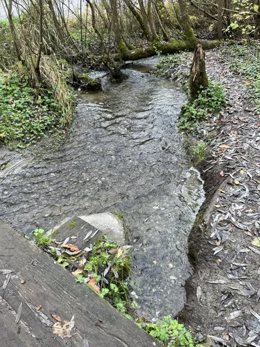 Best Hikes and Trails in Howarth Park | AllTrails