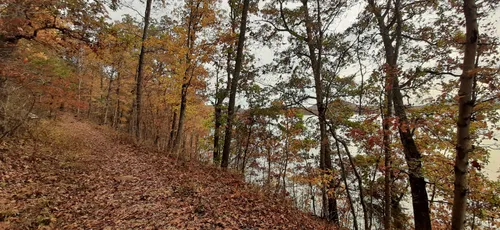 Best Lake Trails in Salt Lick | AllTrails