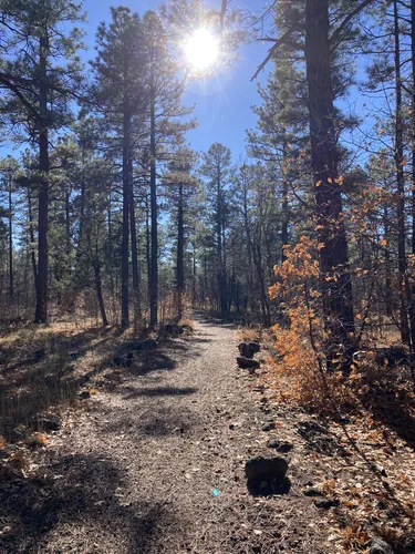 Best Lake Trails in Pinetop-Lakeside | AllTrails
