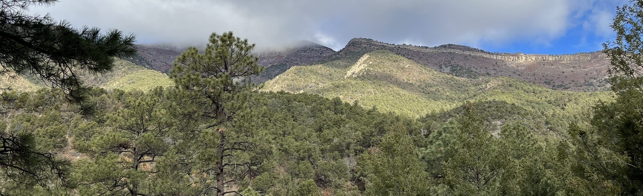 Capilla Peak Loop, New Mexico - 14 Reviews, Map | AllTrails