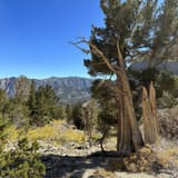 Piute Pass Trail, California - 324 Reviews, Map | AllTrails