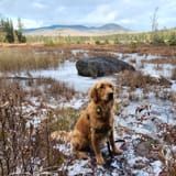 Wolf Pond, New York - 214 Reviews, Map | AllTrails