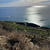 Point Dume Cove Trail, California - 1,493 Reviews, Map | AllTrails