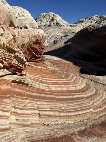 10 Best Trails and Hikes in Jacob Lake | AllTrails