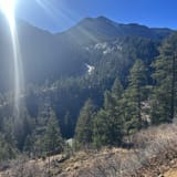 Columbine Trail, Colorado - 1,888 Reviews, Map | AllTrails