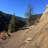 Columbine Trail, Colorado - 1,888 Reviews, Map | AllTrails