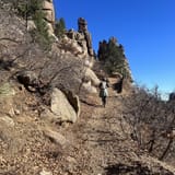 Columbine Trail, Colorado - 1,888 Reviews, Map | AllTrails
