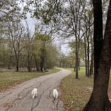 George Bush Hike and Bike Trail, Texas - 1,248 Reviews, Map | AllTrails