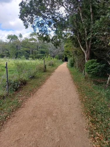 Best Hikes and Trails in Maleny | AllTrails