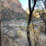 Sand Bench Trail, Utah - 565 Reviews, Map | AllTrails