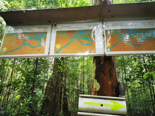 Best Hikes and Trails in Hutan Lipur Soga Perdana | AllTrails