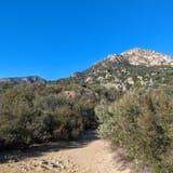 Inspiration Point, California - 3,782 Reviews, Map | AllTrails