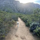 Paradyskloof Waterfall, Western Cape, South Africa - 745 Reviews, Map ...
