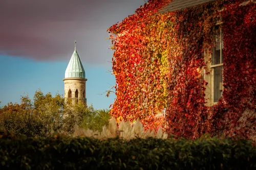 Best Hikes and Trails in Cabinteely Park | AllTrails
