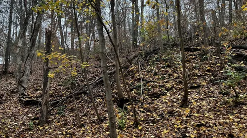 Best Hikes and Trails in Ritter Park | AllTrails