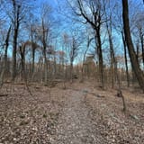 Vista Loop Trail, New Jersey - 2,594 Reviews, Map | AllTrails