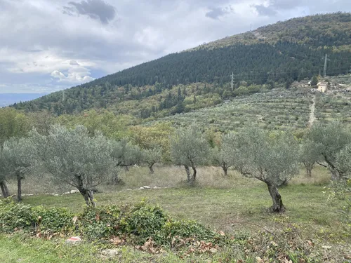 Best Historic Site Trails in Calenzano | AllTrails