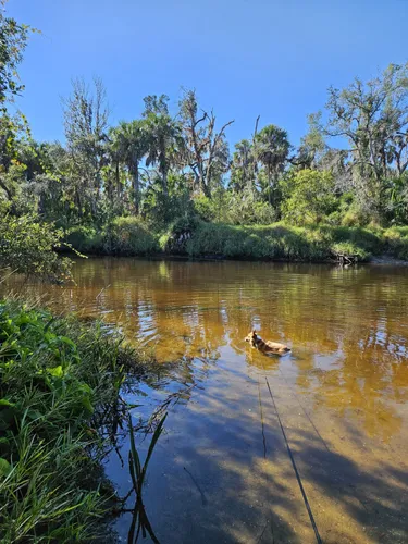 Best Hikes and Trails in Rye Preserve | AllTrails