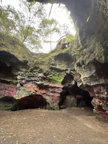 Best Hikes and Trails in Citrus Wildlife Management Area | AllTrails