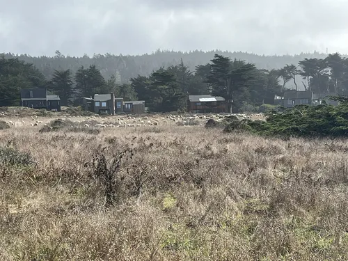 Best Hikes and Trails in Sea Ranch | AllTrails