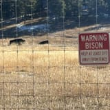 Genesee Mountain Trail Outer Loop, Colorado - 1,389 Reviews, Map ...