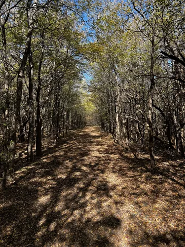 Best Hikes and Trails in Hidden Cove Park | AllTrails