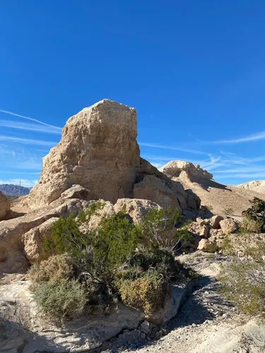 Best Hikes And Trails In Tule Springs Fossil Beds National Monument