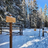 Nambe Lake Trail, New Mexico - 2,540 Reviews, Map | AllTrails