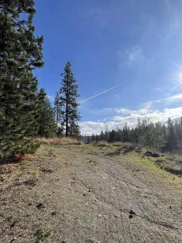 Best Hikes and Trails in High Bridge Park | AllTrails