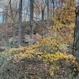 Bonner Park Loop, Pennsylvania - 305 Reviews, Map | AllTrails