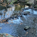 Bonner Park Loop, Pennsylvania - 305 Reviews, Map | AllTrails