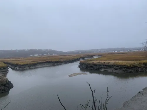 Best Hikes and Trails in Rumney Marsh Reservation | AllTrails