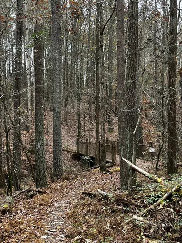 Best Hikes and Trails in Yellow River Park | AllTrails