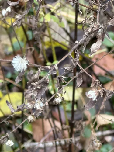 Best Hikes and Trails in Deep River County Park | AllTrails