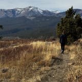 Animas Mountain Trail, Colorado - 1,691 Reviews, Map | AllTrails