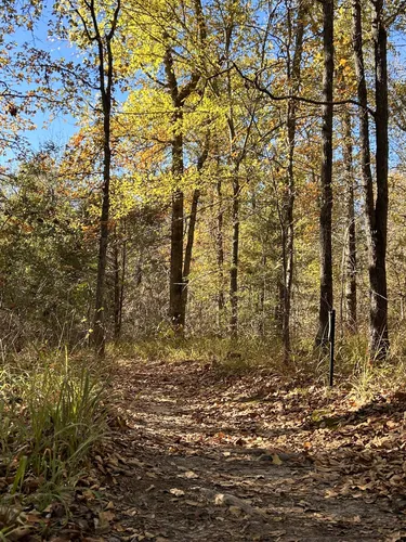 Best Hikes and Trails in East Texas Arboretum | AllTrails
