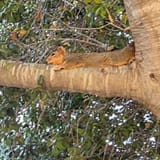 Mission Oaks Community Park Trail, California - 243 Reviews, Map ...